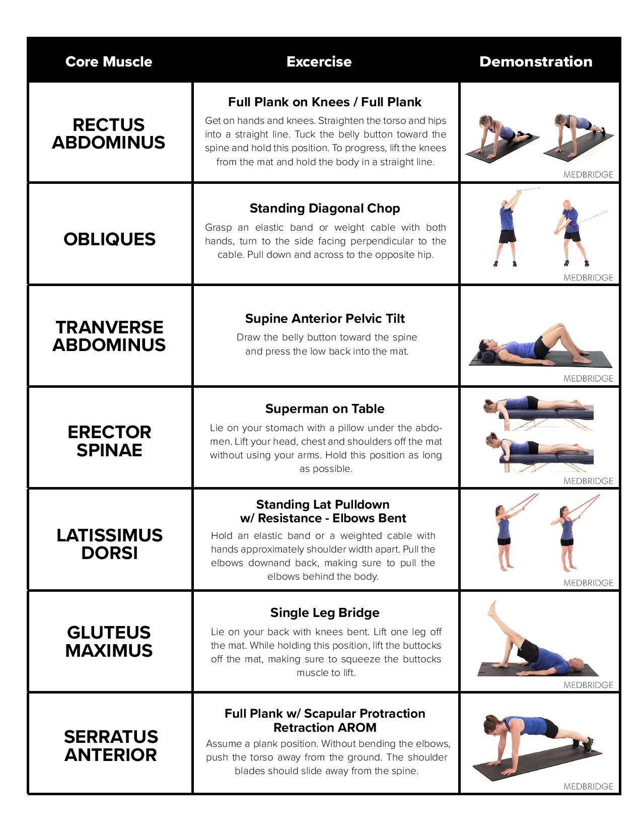 How to Train Your Core - PT Northwest